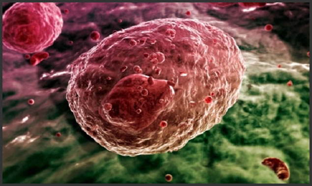 Video Platelet Additive Solution The Next Generation Of Platelet Storage Transfusion News