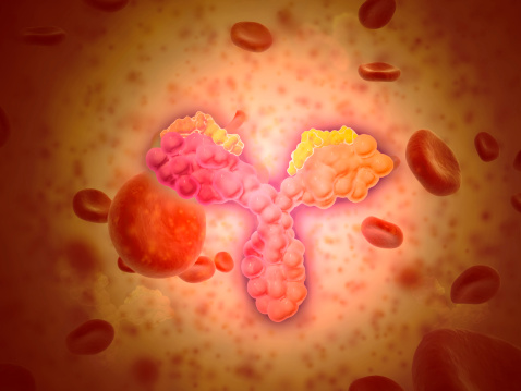 RBC Alloimmunization is a Predictor of HLA Alloimmunization ...