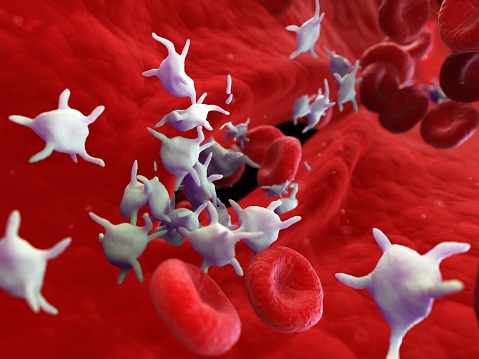 FDA Guidance to Control for Bacterial Contamination in Platelets ...