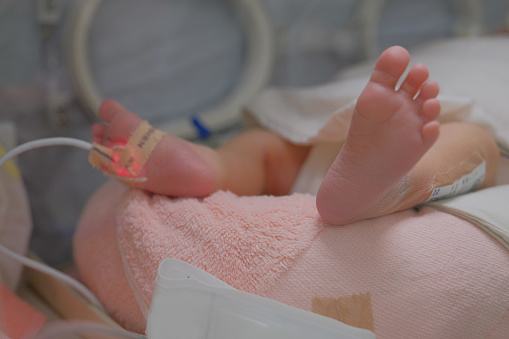 Higher Hemoglobin Transfusion Thresholds Do Not Improve Outcomes in ...